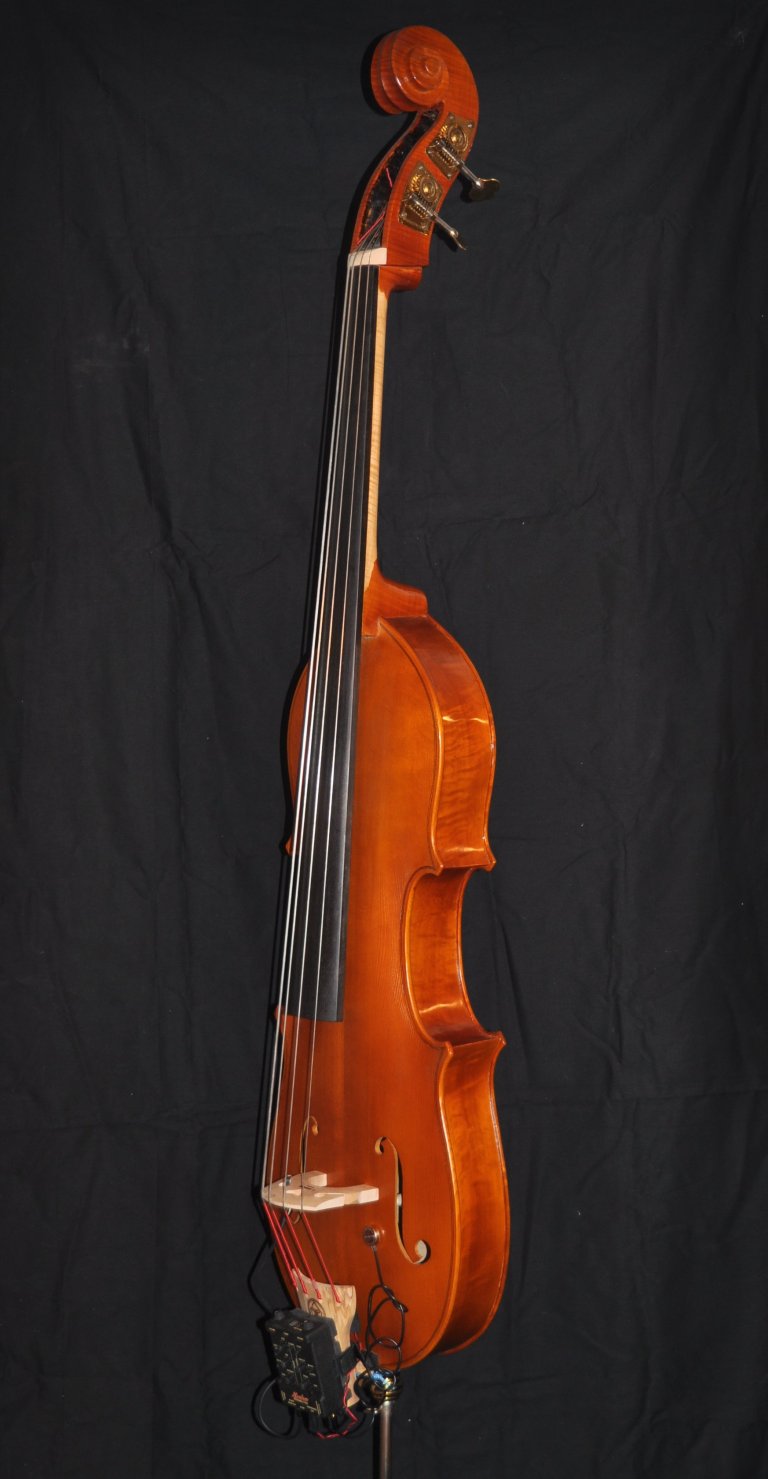 Contrabbassi | Liutaio Gianmaria Assandri